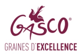Tout savoir sur la marque Gasco
