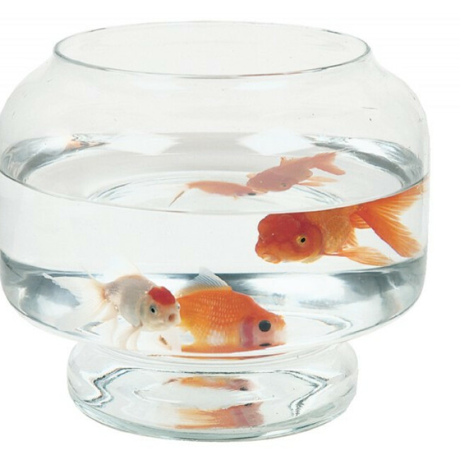 Aquarium Boule Neptune Zolux 5 litres